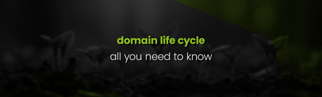 Understanding the Domain Life Cycle: Key Stages Explained